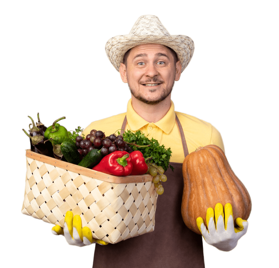 Grocify Website Using Tailwind CSS